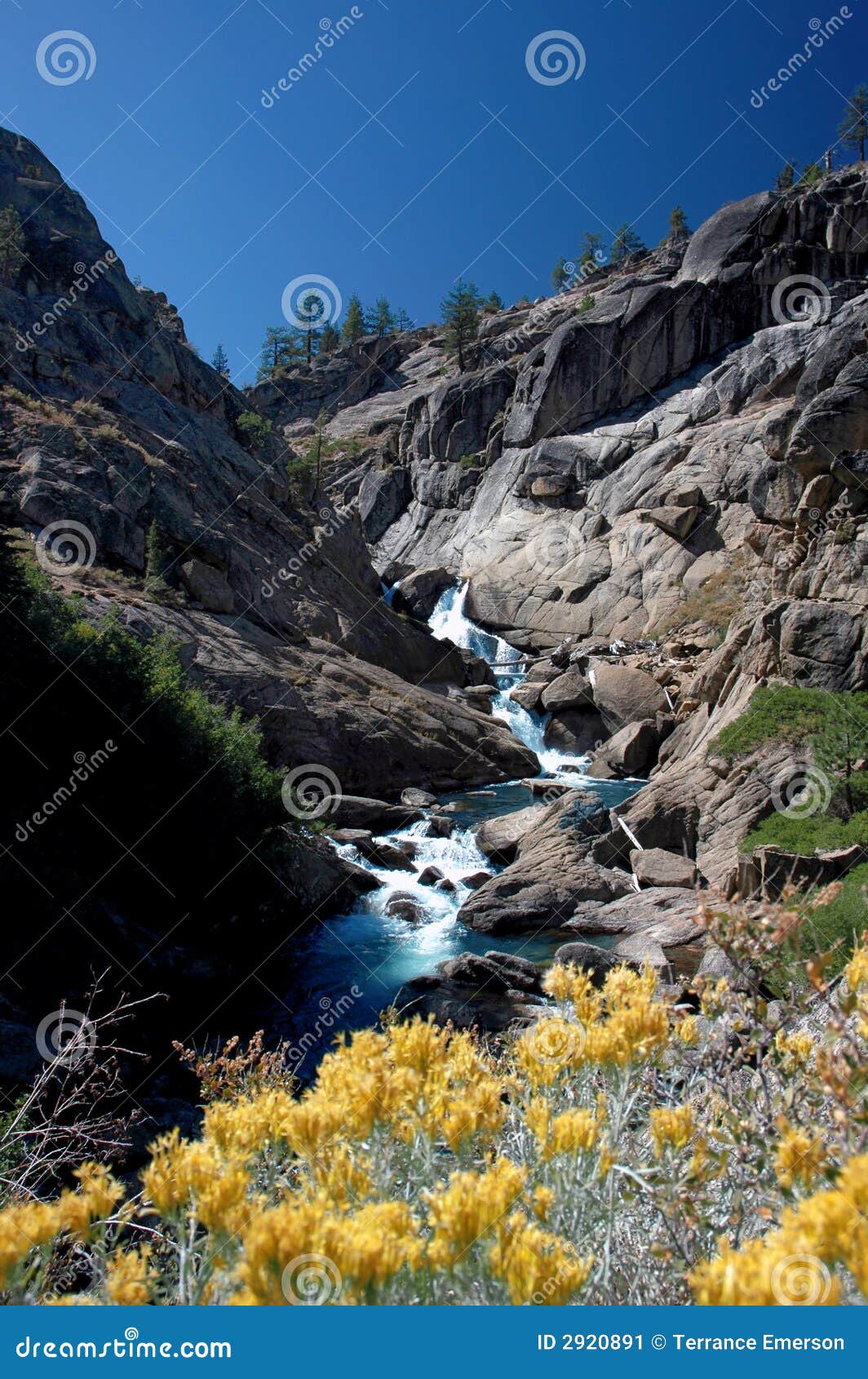 Rabbit Brush and Water Cascade Stock Image - Image of yellow, nature ...