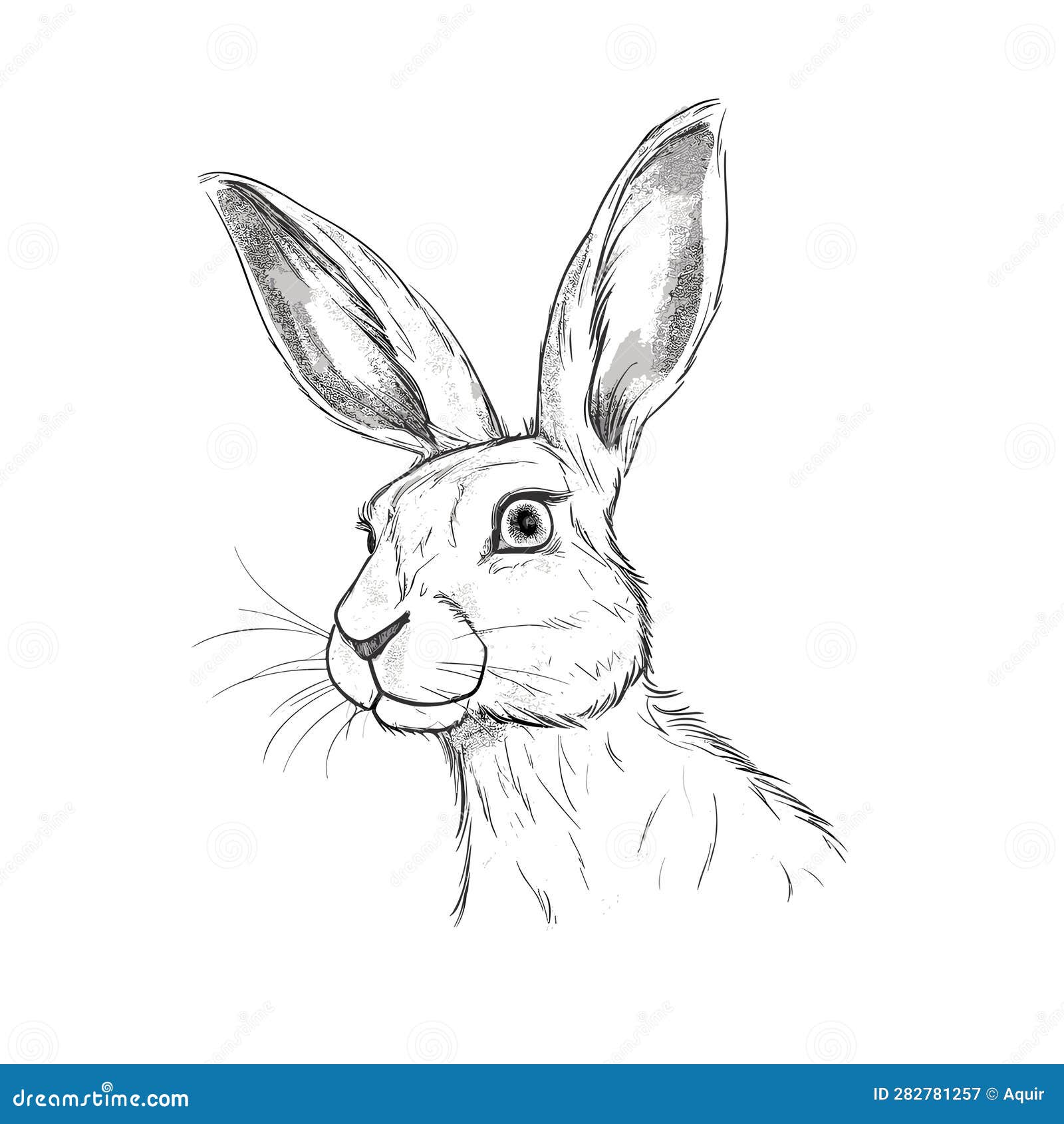 Rabbit Buck Hand-drawn Illustration. Rabbit Buck. Vector Doodle Style ...