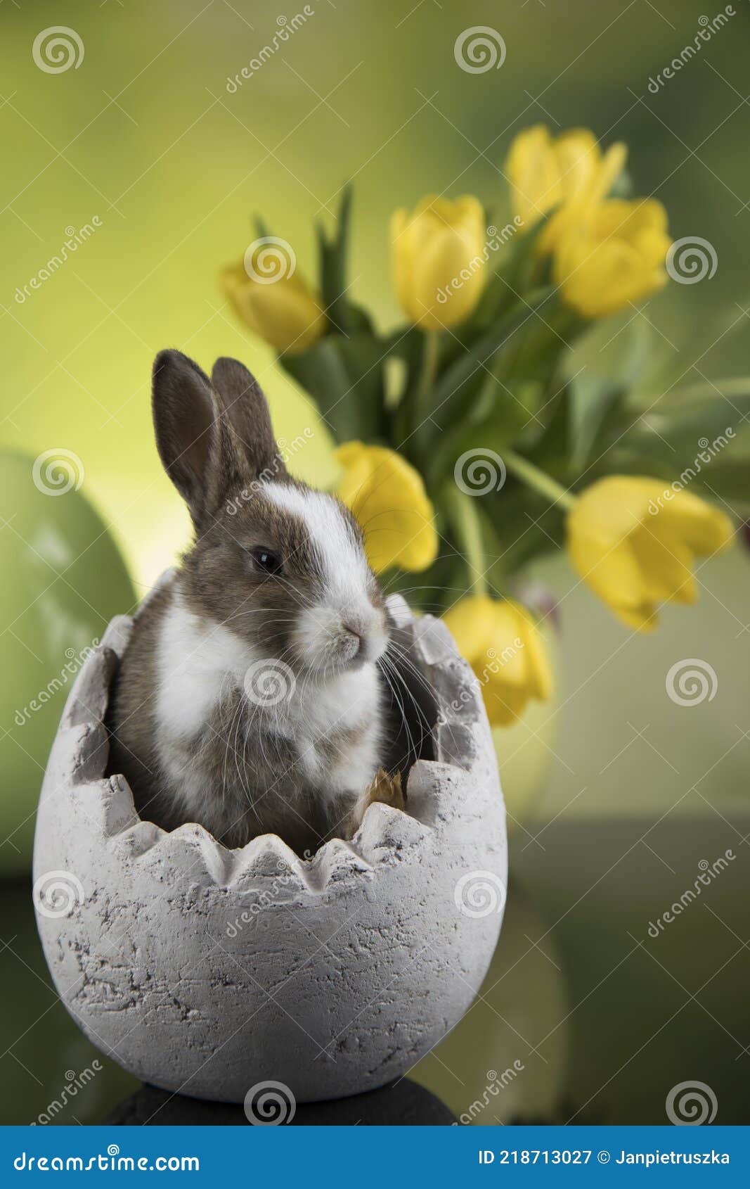 Rabbit, Bunny and Easter Egg Stock Image - Image of little, soft: 218713027