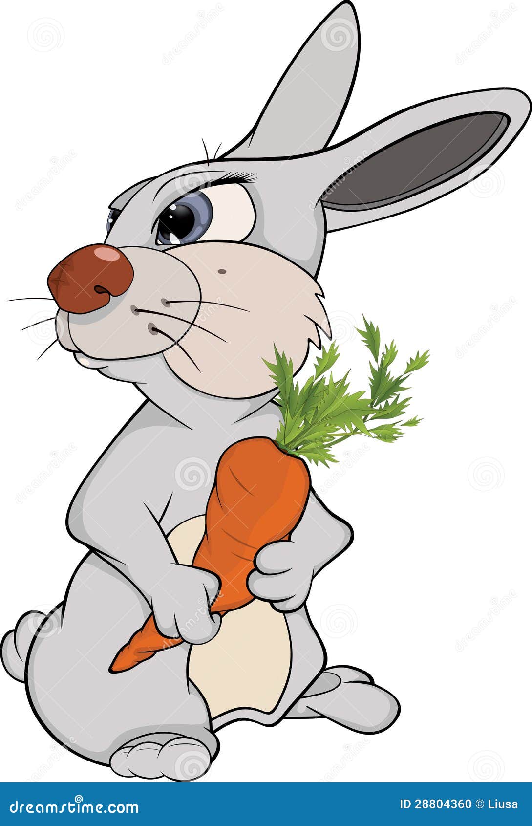 Rabbit Root Stock Illustrations – 367 Rabbit Root Stock Illustrations ...