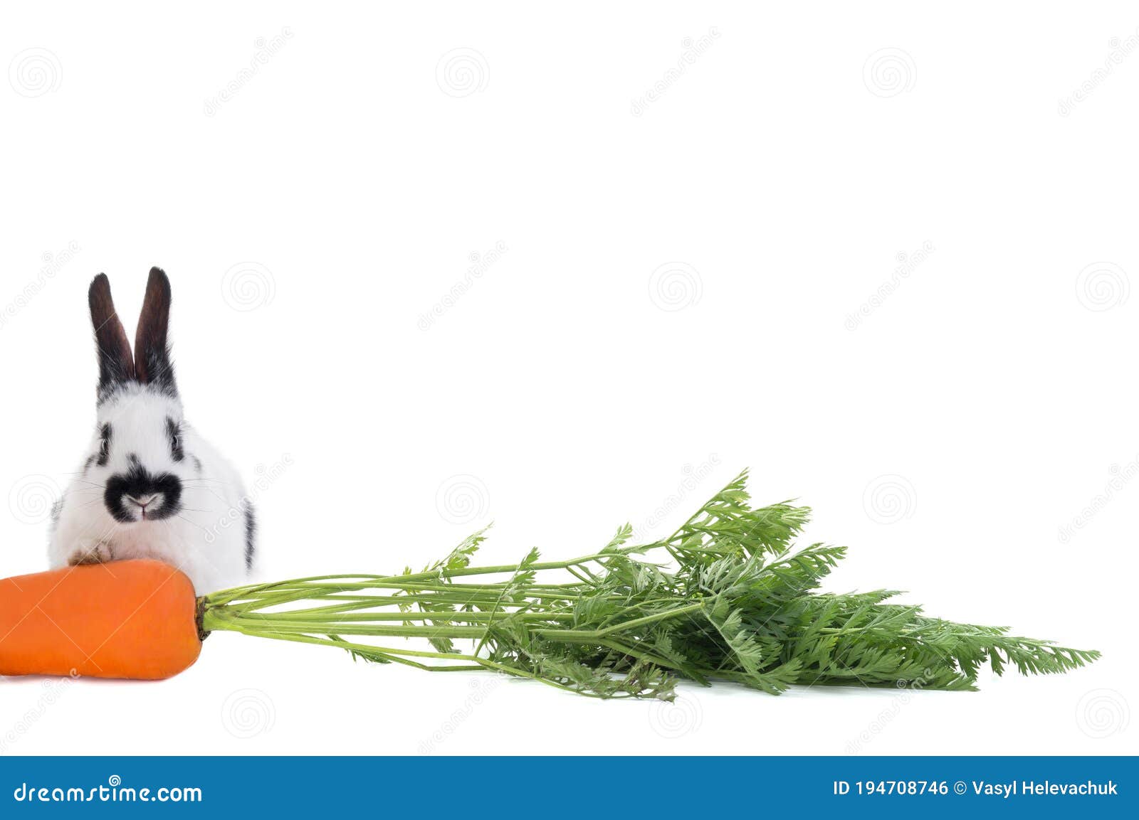 Toy Rabbit, Carrot, Box And Stick Trap Royalty-Free Stock Image ...
