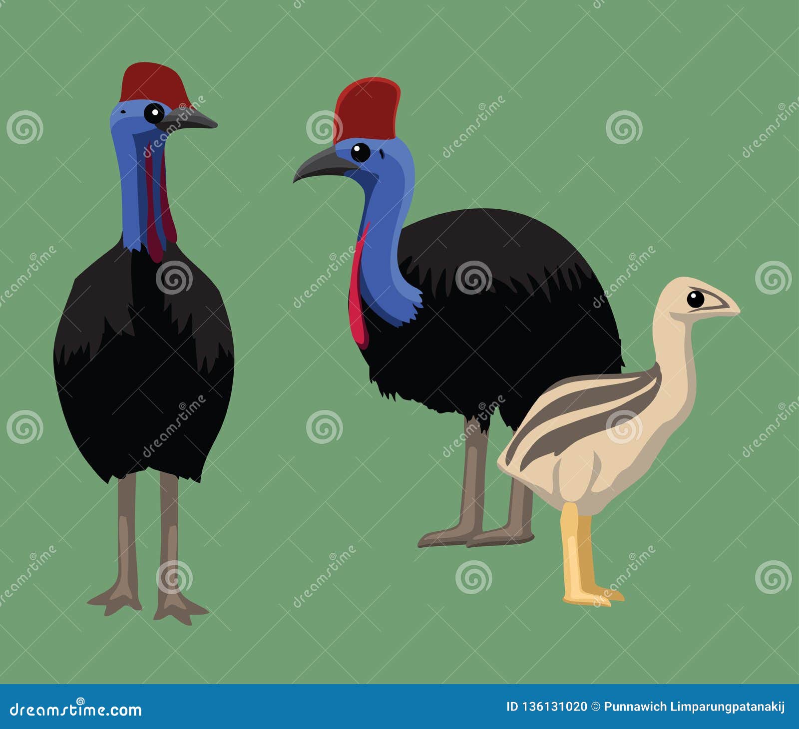 Cute Cassowary Bird Cartoon Doodle Australian Animal Kids Art Drawing ...
