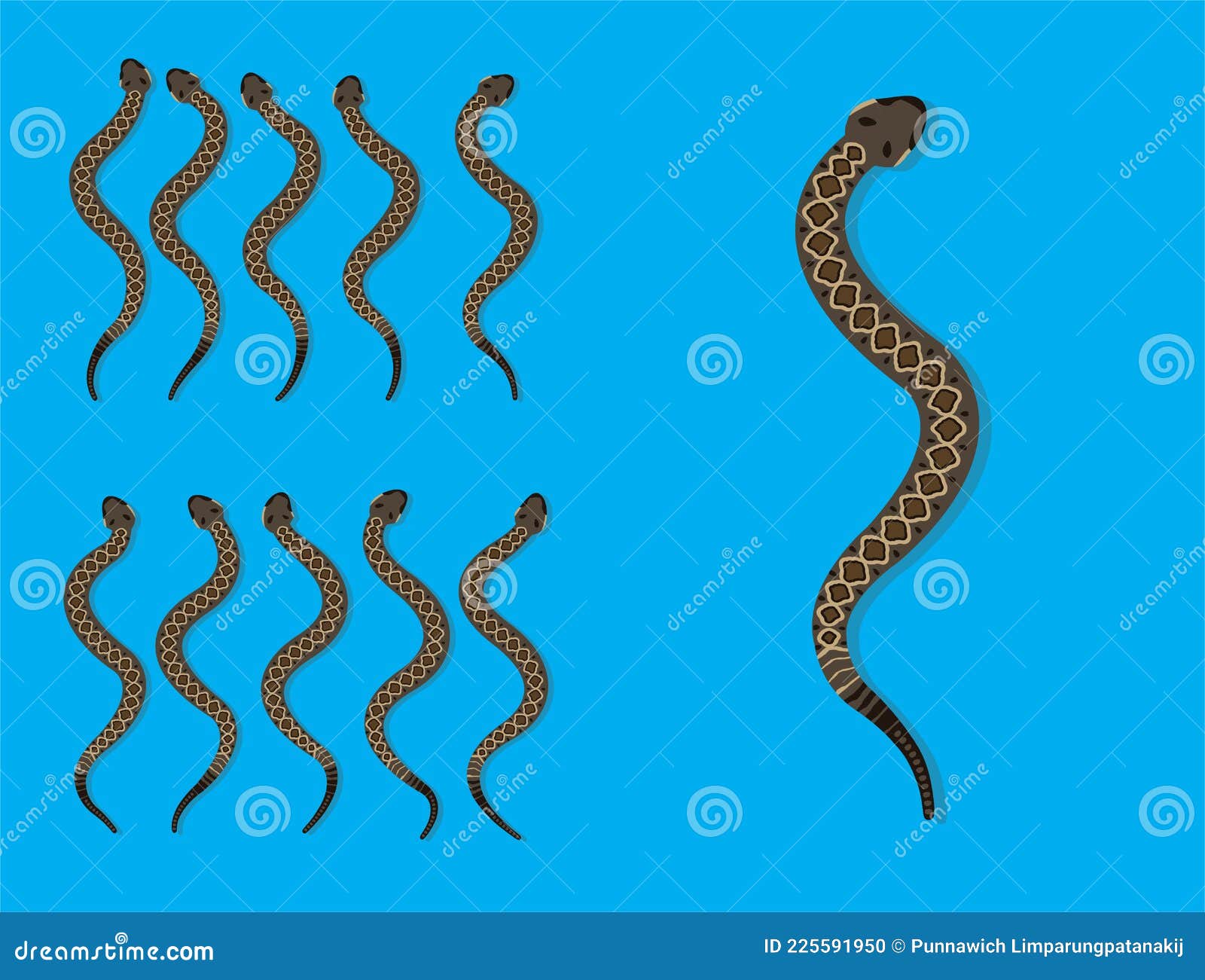 Animal Animation Sequence Eastern Diamondback Rattlesnake Cartoon ...