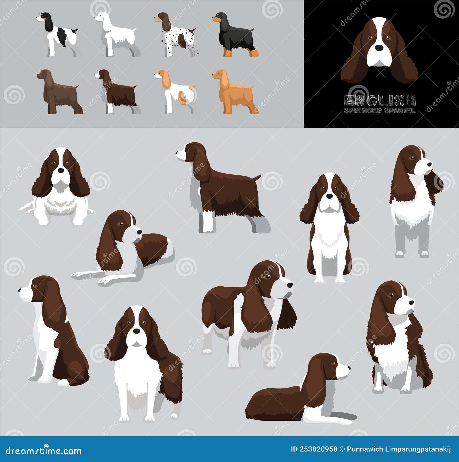 Dog English Springer Spaniel Cartoon Vector Illustration Color ...