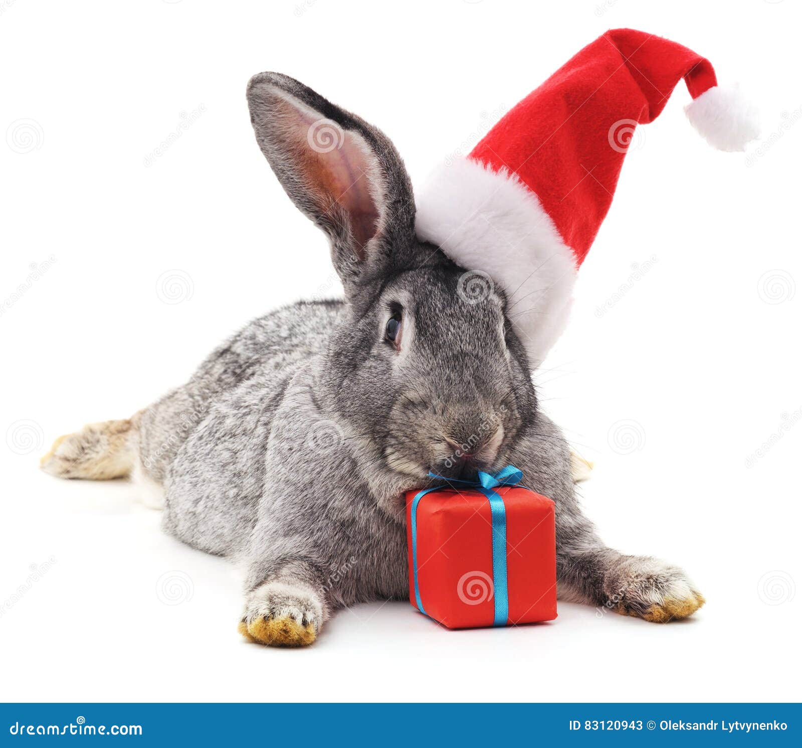 Rabbit in a Christmas hat. stock image. Image of baby - 83120943