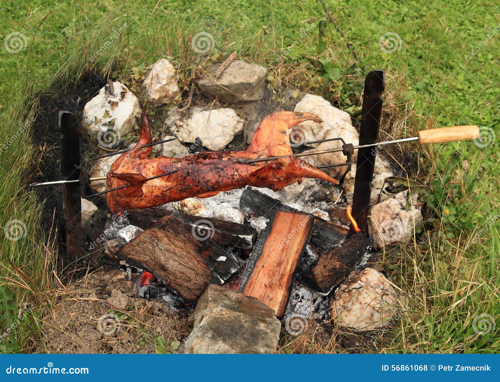 Rabbit Cooked on Opened Fire Stock Photo - Image of roasted, cooking ...