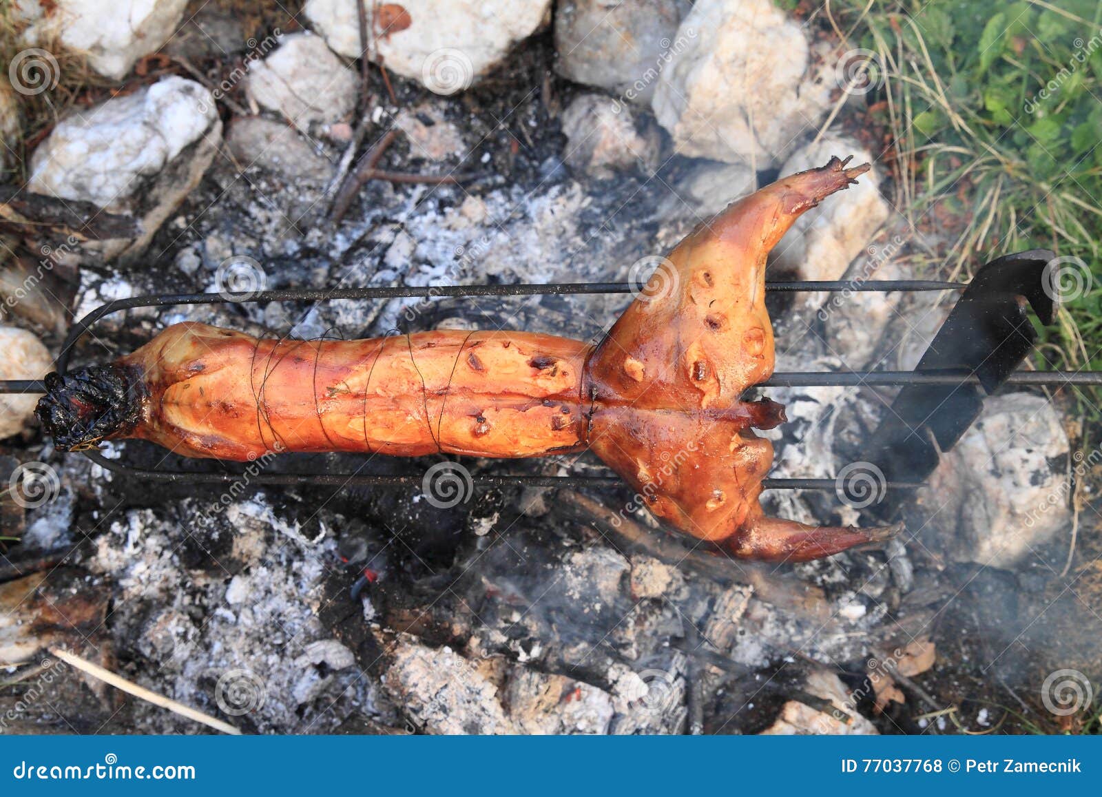 Rabbit Cooked on Opened Fire Stock Photo - Image of broiled, kitchen ...