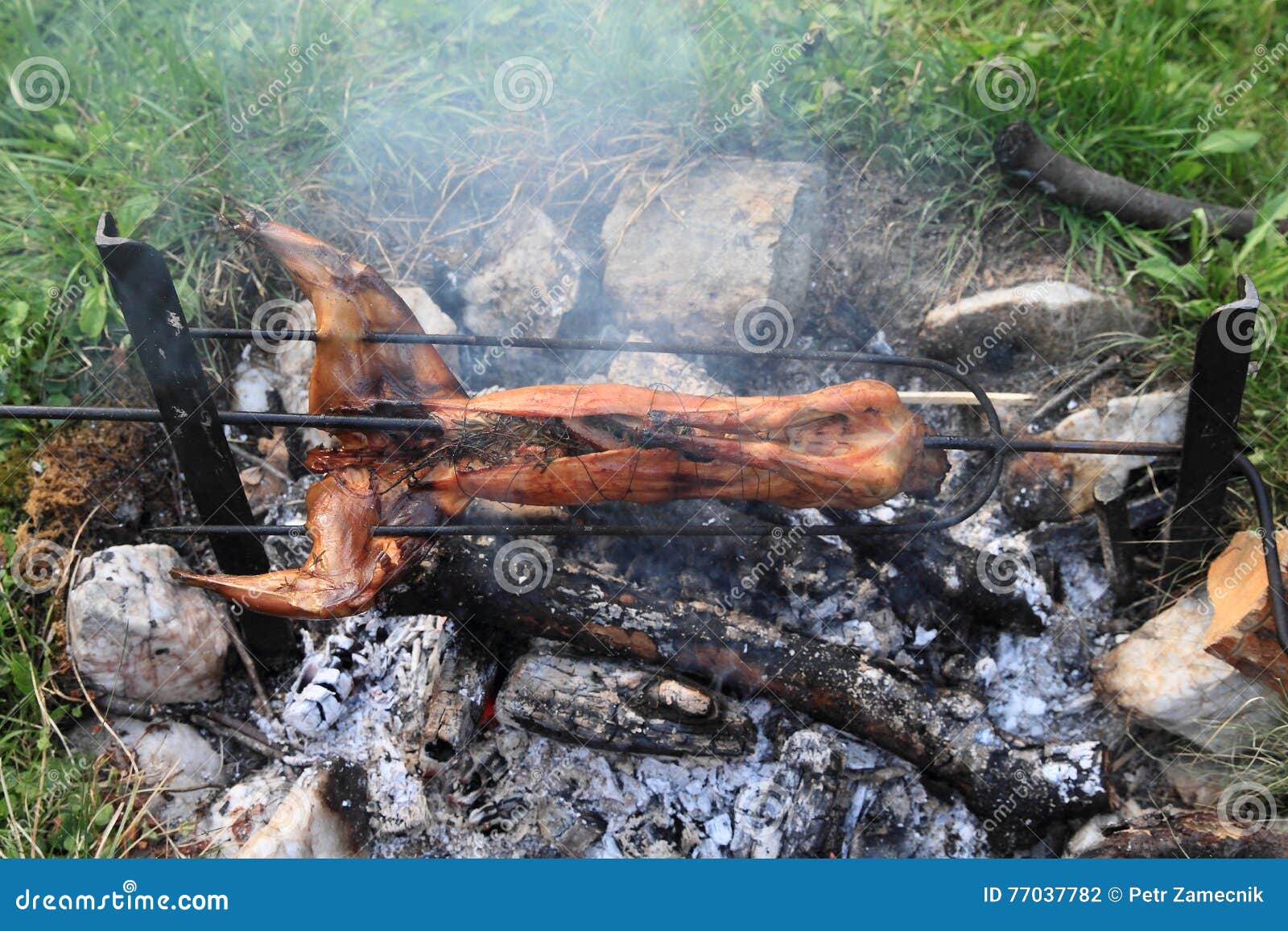 Rabbit Cooked on Opened Fire Stock Photo - Image of roast, firing: 77037782