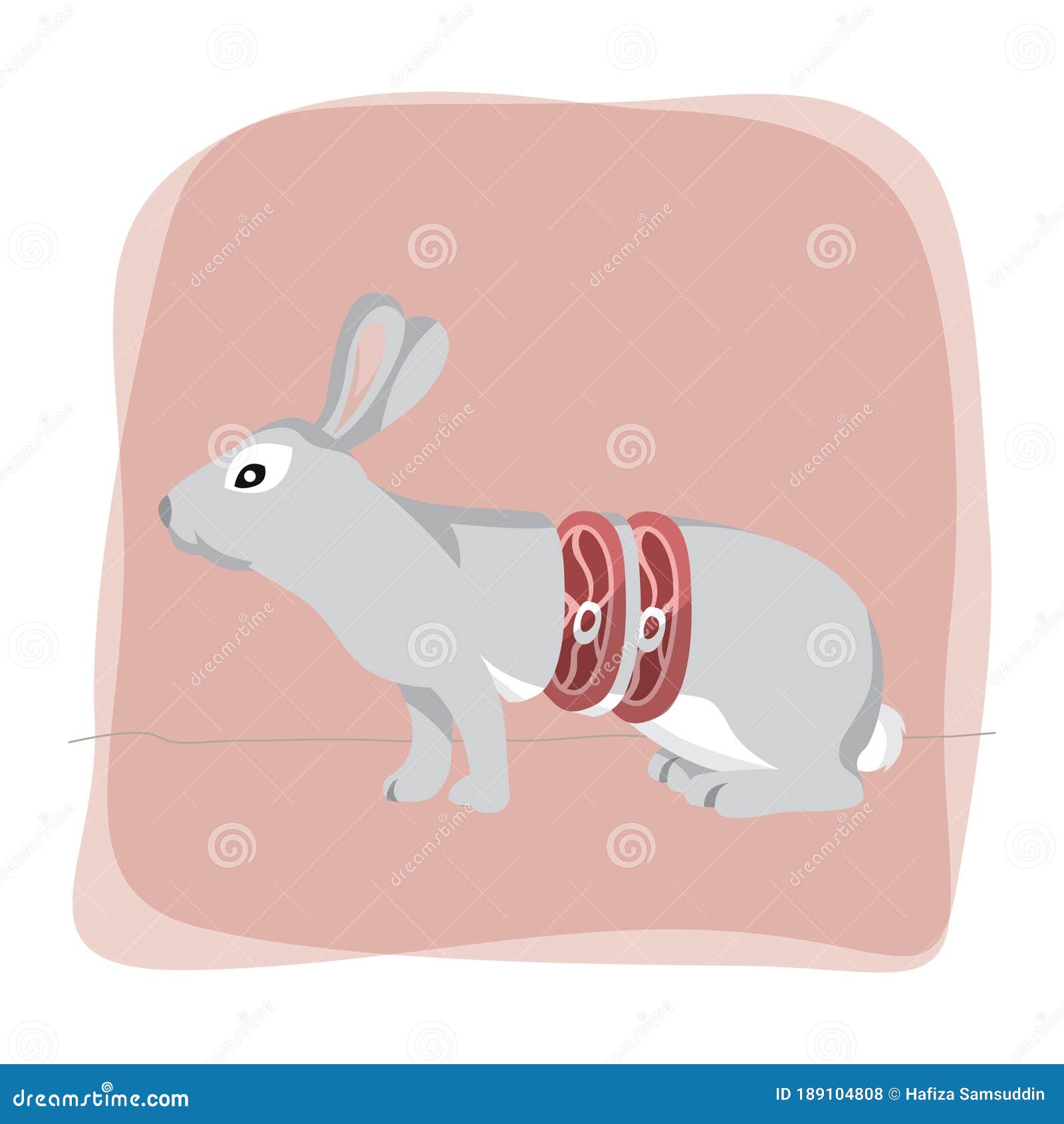 Rabbit Cut Concept. Vector Illustration Decorative Design Stock Vector ...