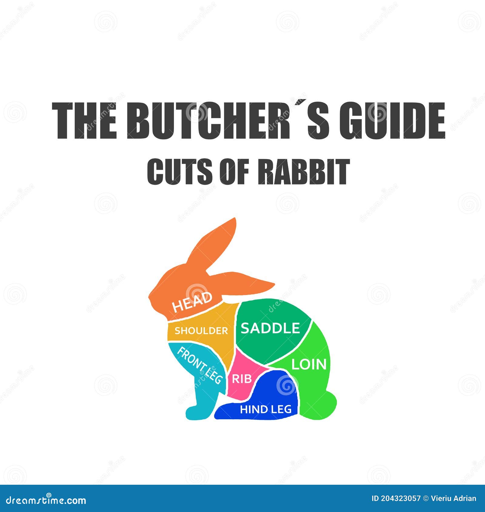 Rabbit Cut of Meat . Butcher Diagram, Scheme Stock Illustration ...