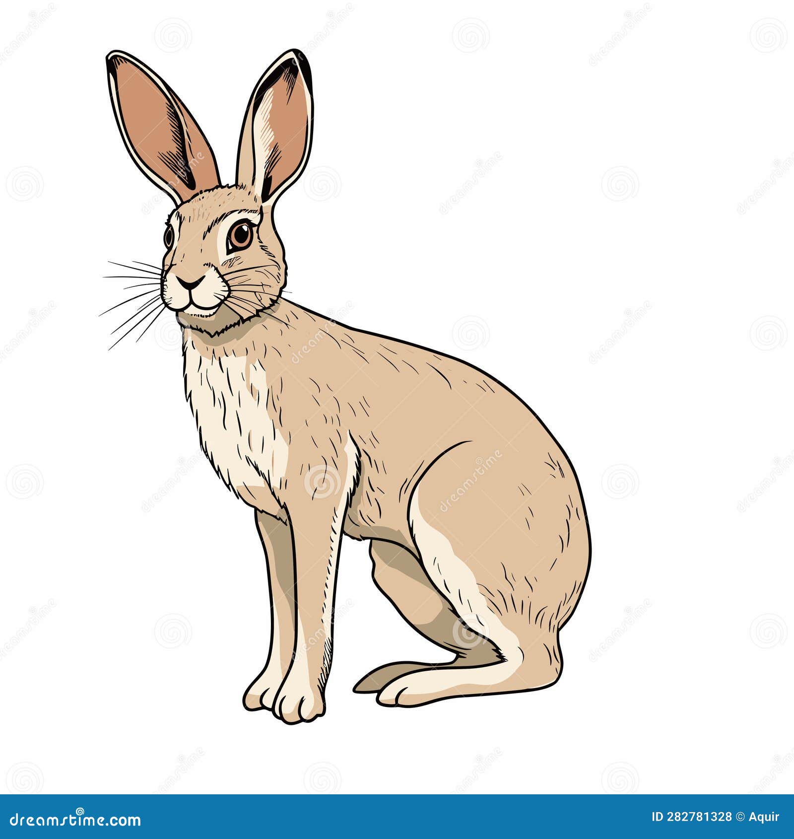 Rabbit Doe Hand-drawn Illustration. Rabbit Doe. Vector Doodle Style ...