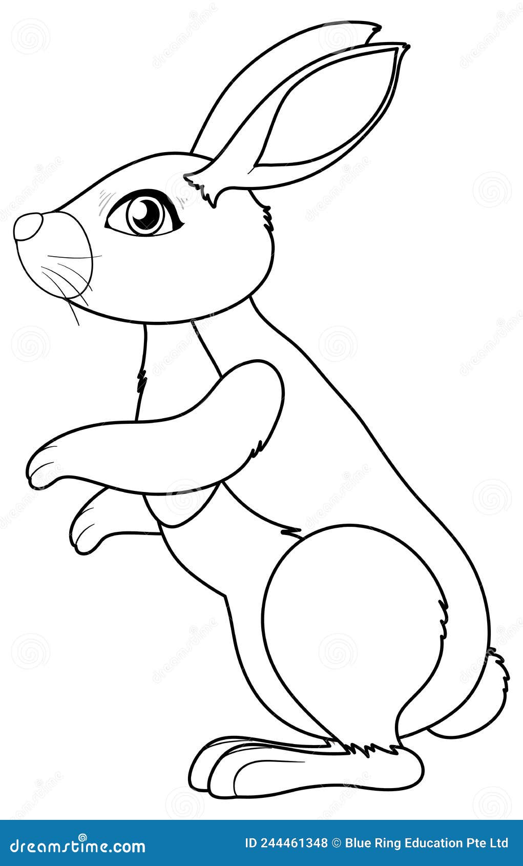 Rabbit Doodle Outline for Colouring Stock Vector - Illustration of ...