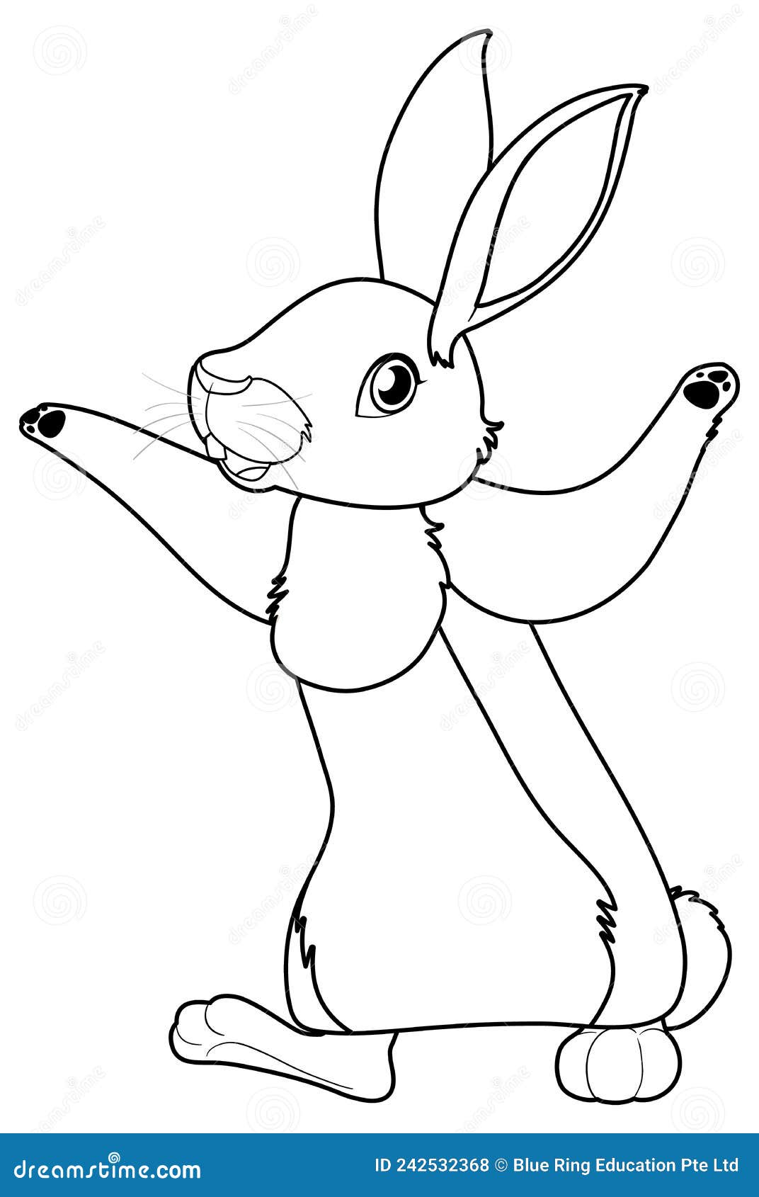 Rabbit Doodle Outline for Colouring Stock Vector - Illustration of cute ...
