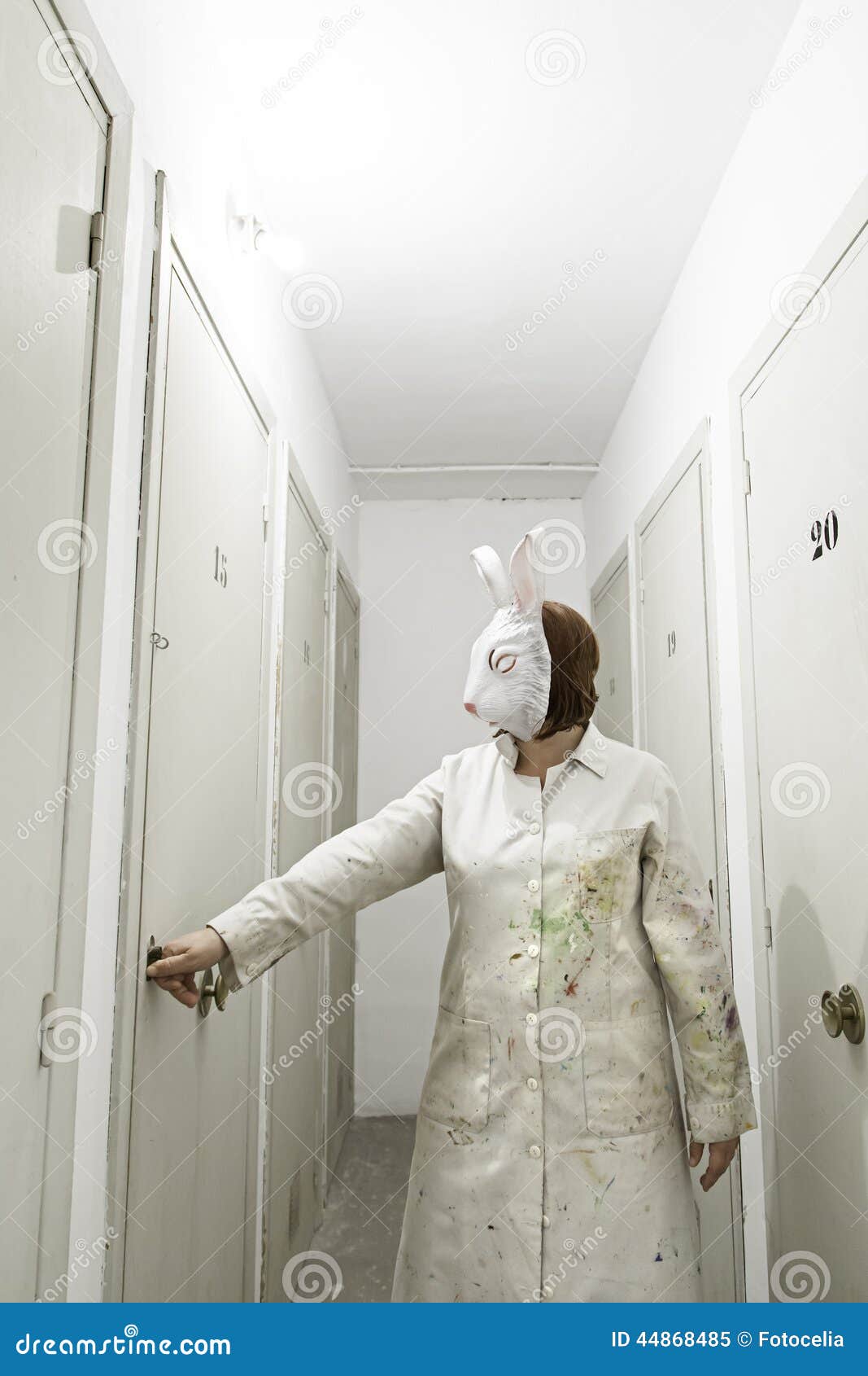Rabbit in door stock image. Image of mysterious, hallway - 44868485