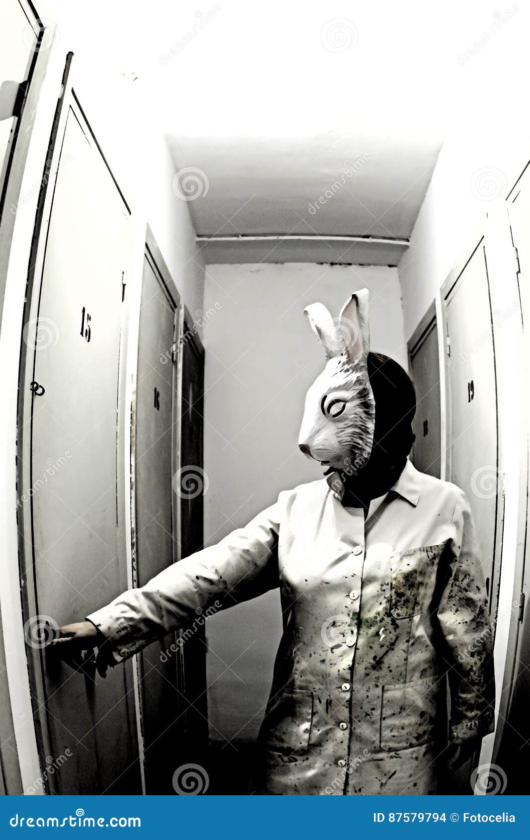 Rabbit in door stock photo. Image of criminal, dark, mysterious - 87579794