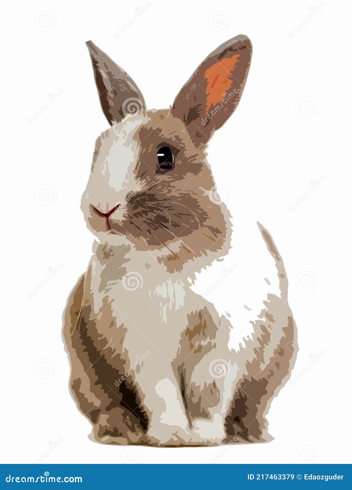Pygmy Rabbit Drawing