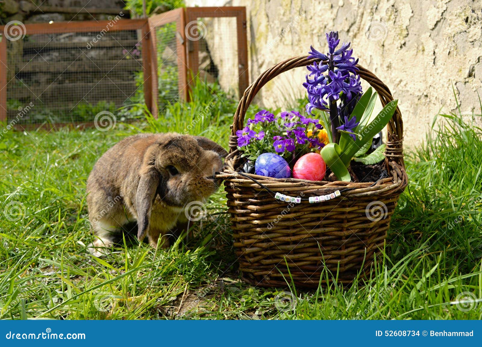 Rabbit with easter basket stock photo. Image of flowers - 52608734