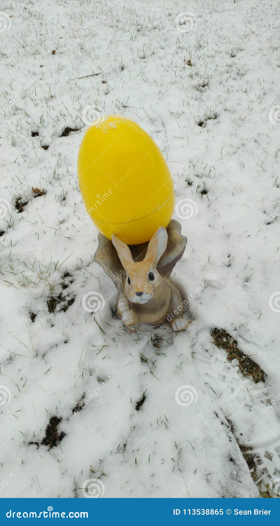 Rabbit with Easter Egg on Snowy Easter Sunday Stock Image - Image of ...