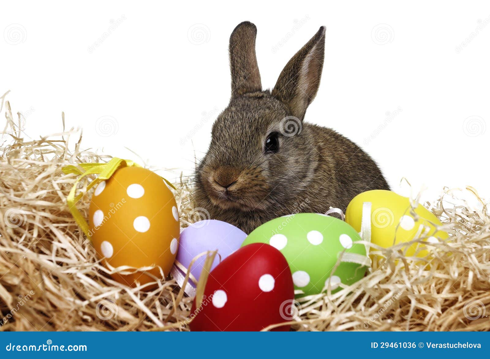 Rabbit and easter eggs stock photo. Image of ears, eggs - 29461036