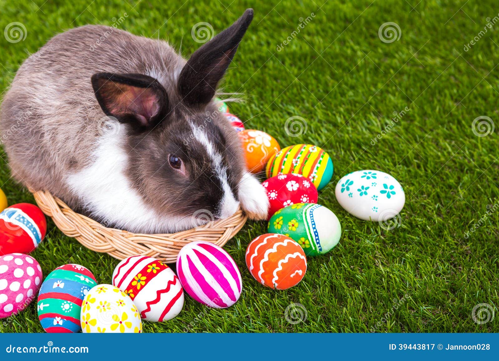 Rabbit and easter eggs stock image. Image of eggs, celebration - 39443817