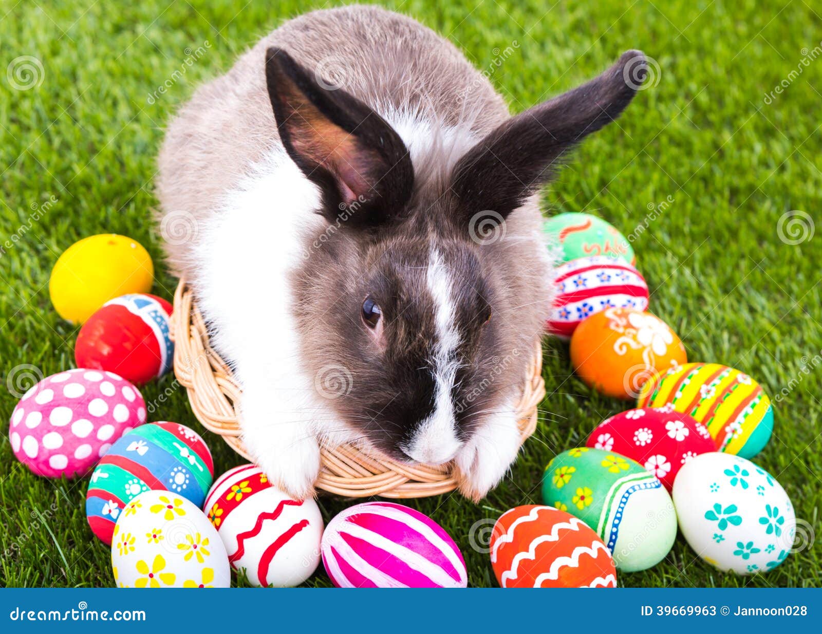 Rabbit and easter eggs stock image. Image of brown, eggs - 39669963