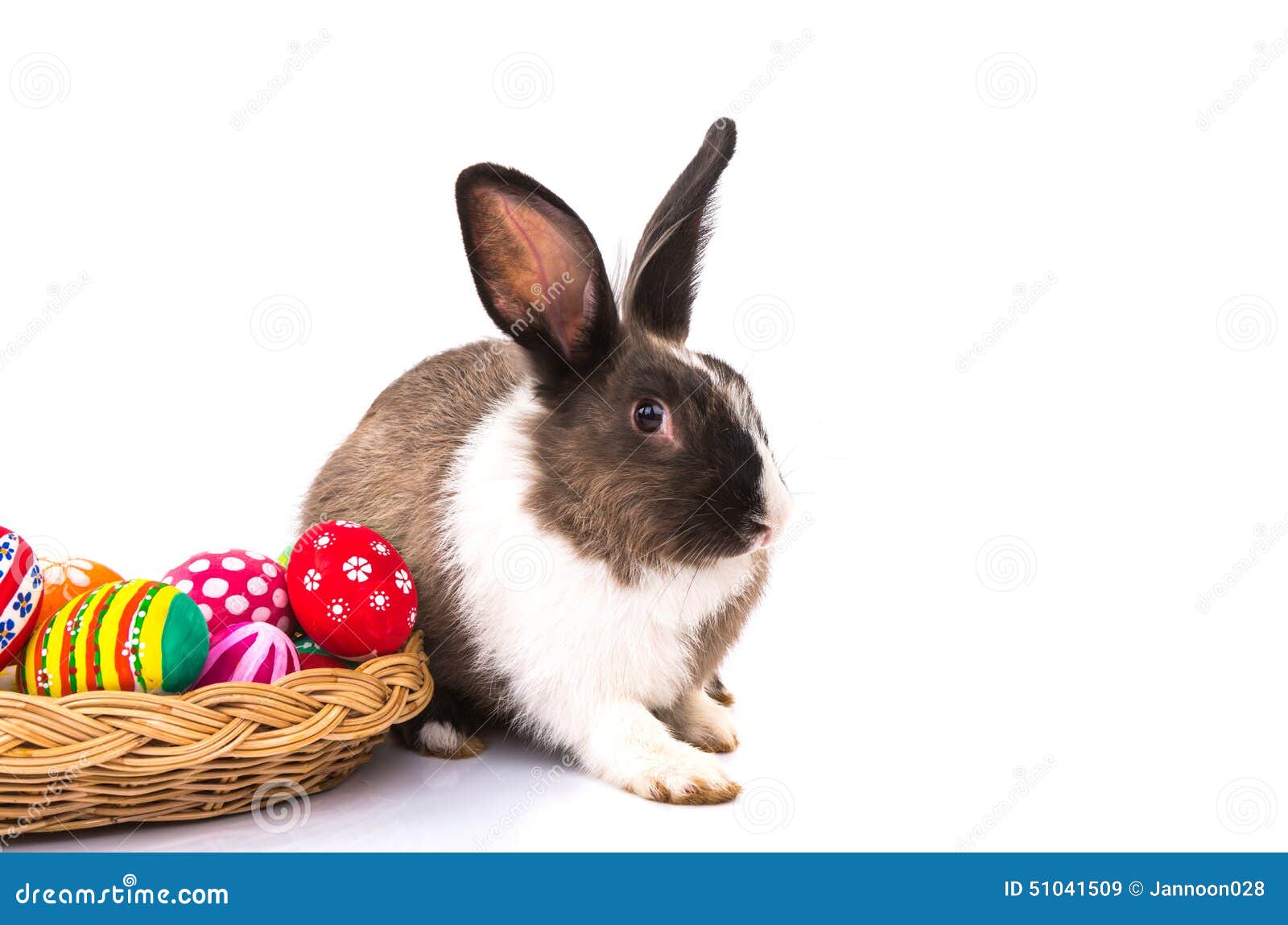 Rabbit with Easter Eggs Isolated Stock Image - Image of cute, purebred ...