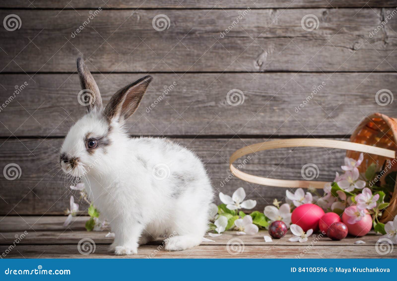 Rabbit with Easter eggs stock photo. Image of flowers - 84100596