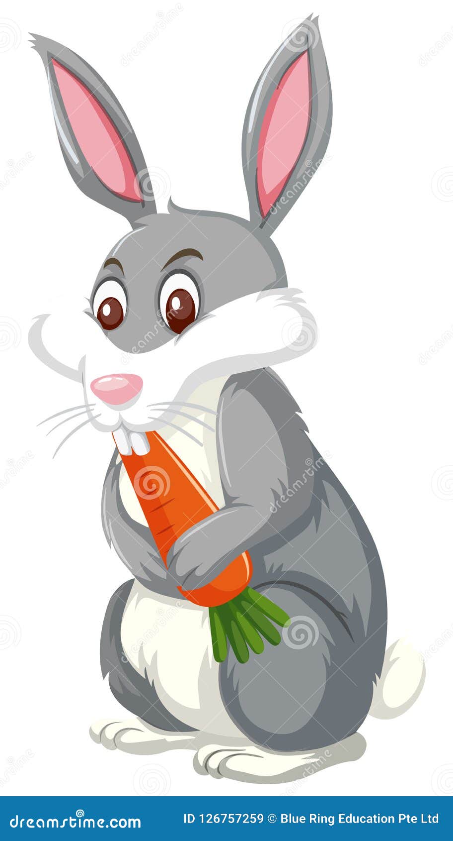 A rabbit eating carrot stock vector. Illustration of vegetable - 126757259
