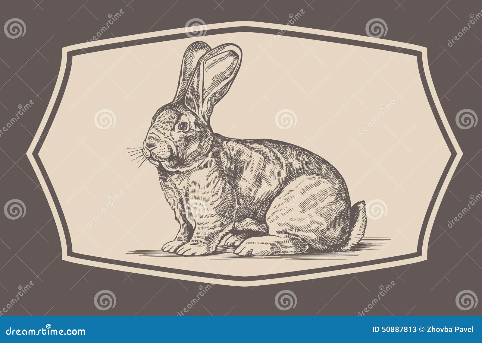 Rabbit in engraving style. stock vector. Illustration of vintage - 50887813