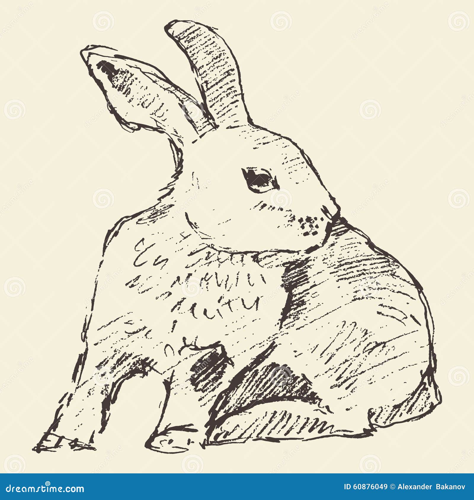 Rabbit, Engraving Style Vintage Hand Drawn Sketch Stock Vector ...