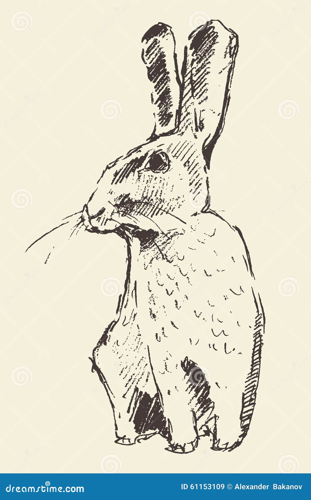 Rabbit, Engraving Style Vintage Hand Drawn Sketch Stock Vector ...
