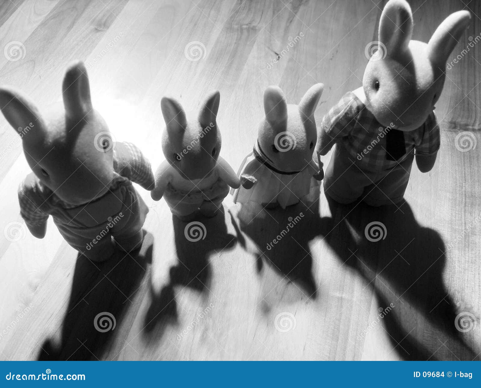 Rabbit family stock photo. Image of long, easter, rabbit - 9684