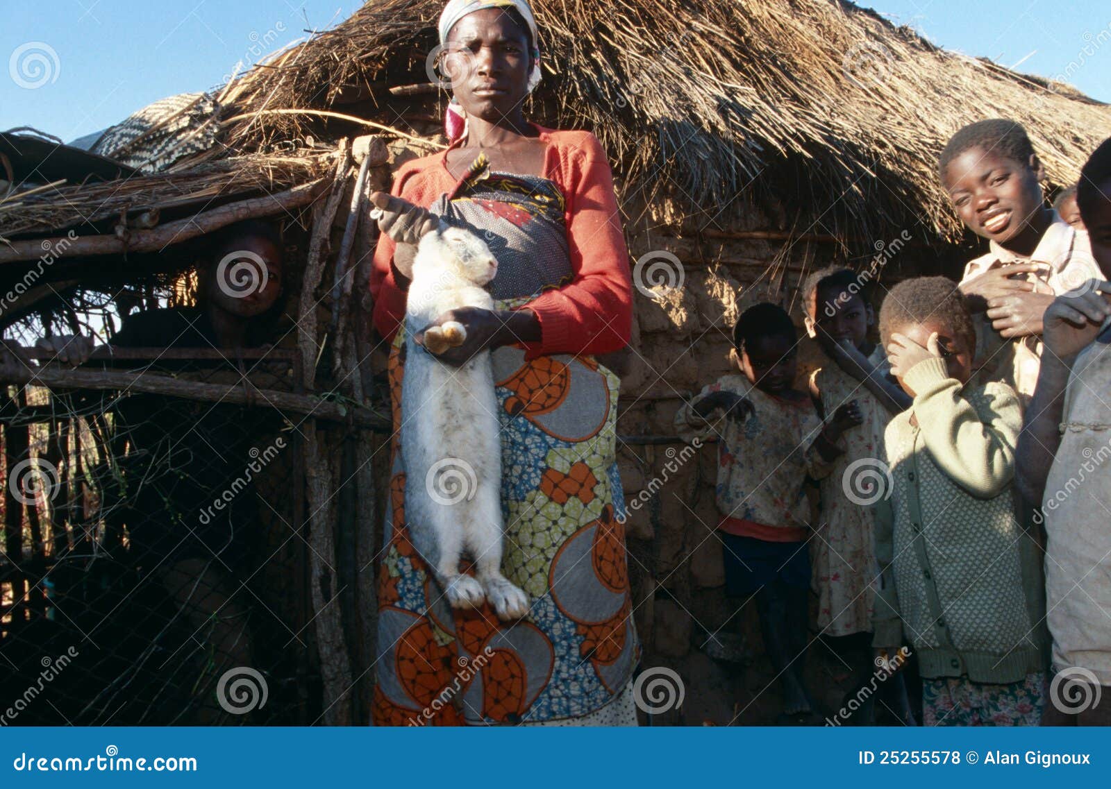 A rabbit farmer in Angola. editorial stock photo. Image of people ...