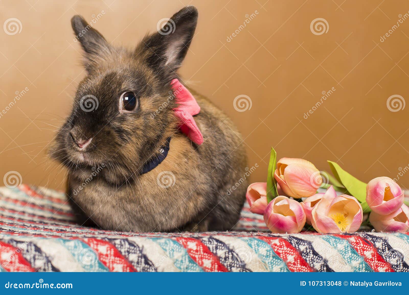 Rabbit with flowers stock photo. Image of decoration - 107313048