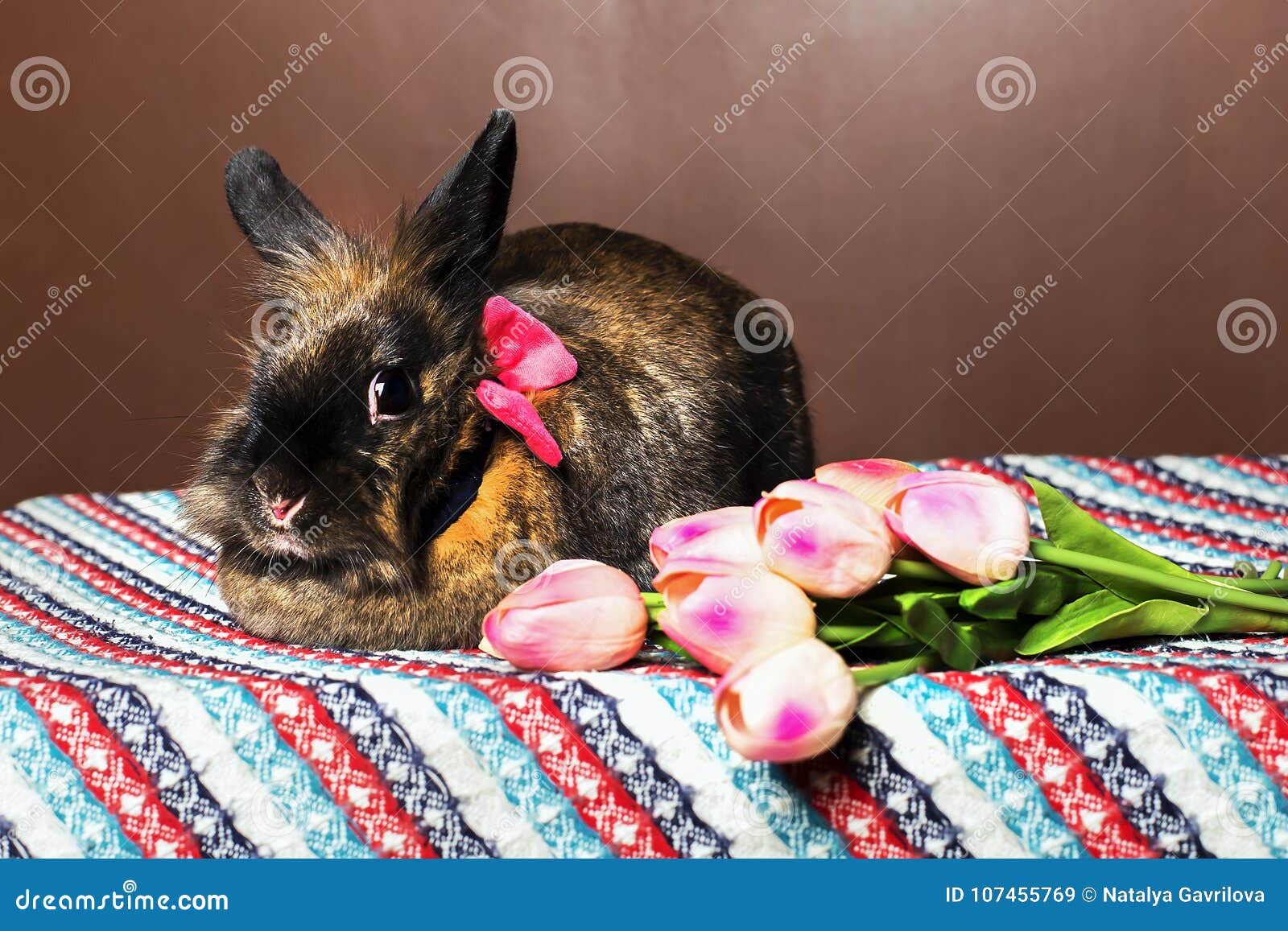 Rabbit with flowers stock image. Image of beautiful - 107455769
