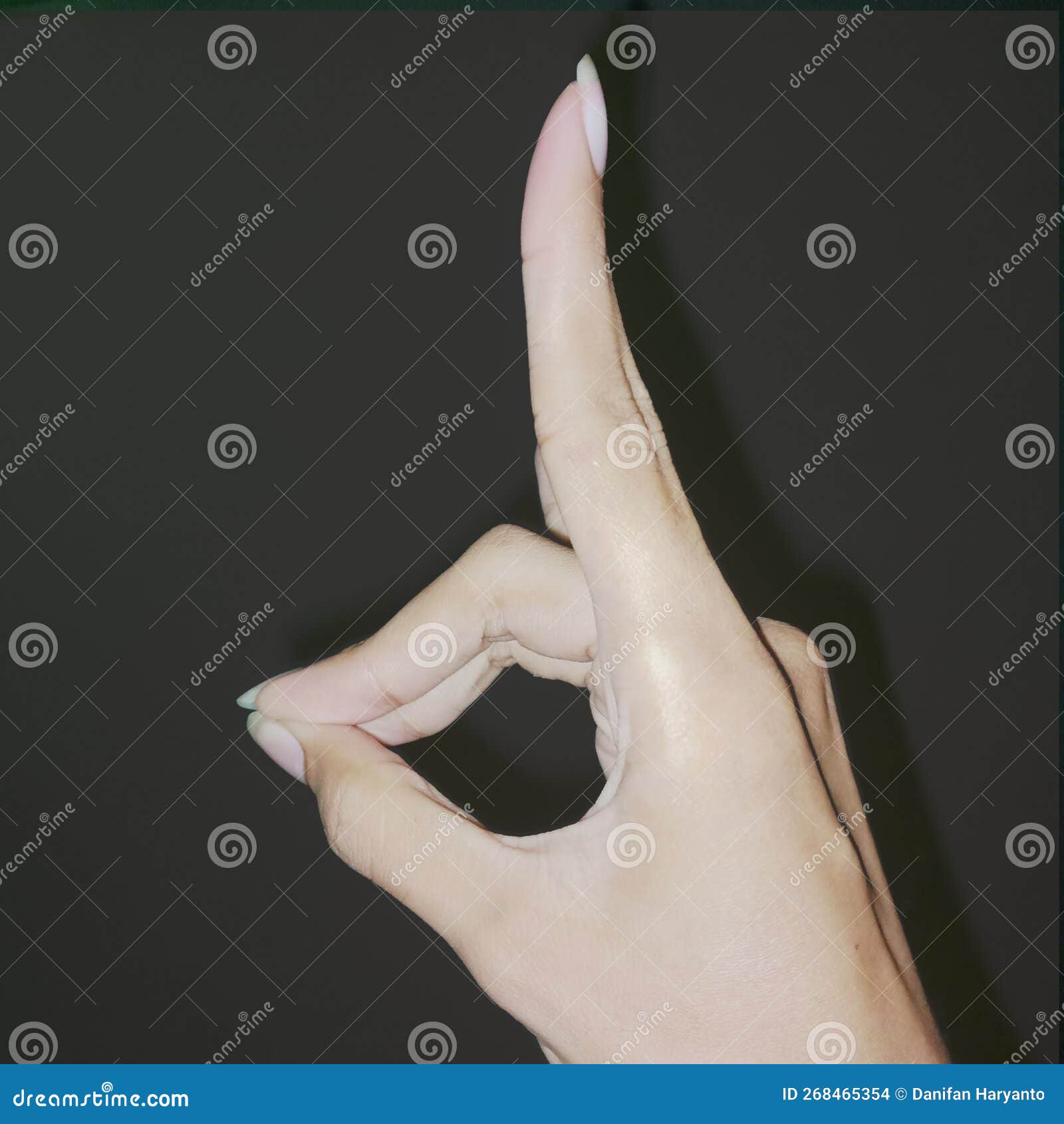 Rabbit that formed by hand stock photo. Image of hand - 268465354