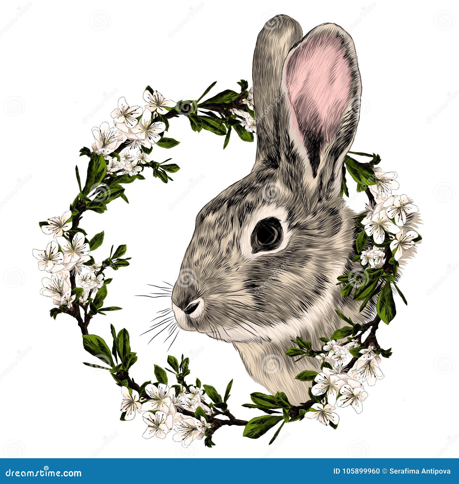 Rabbit Head Grey Sketch Vector Stock Vector - Illustration of drawing ...
