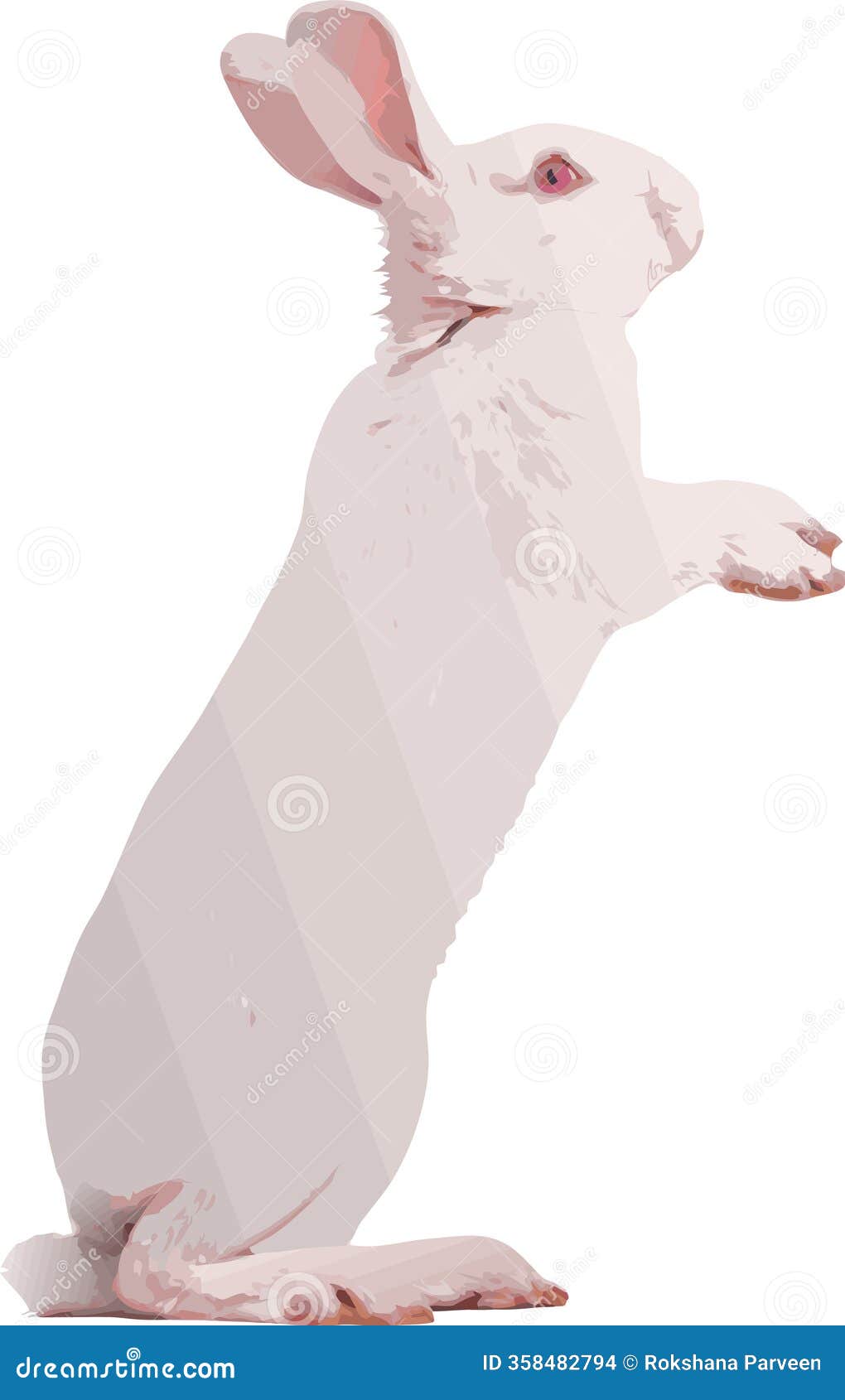 Rabbit , Full Body Realistic Image, White Background Stock Illustration ...