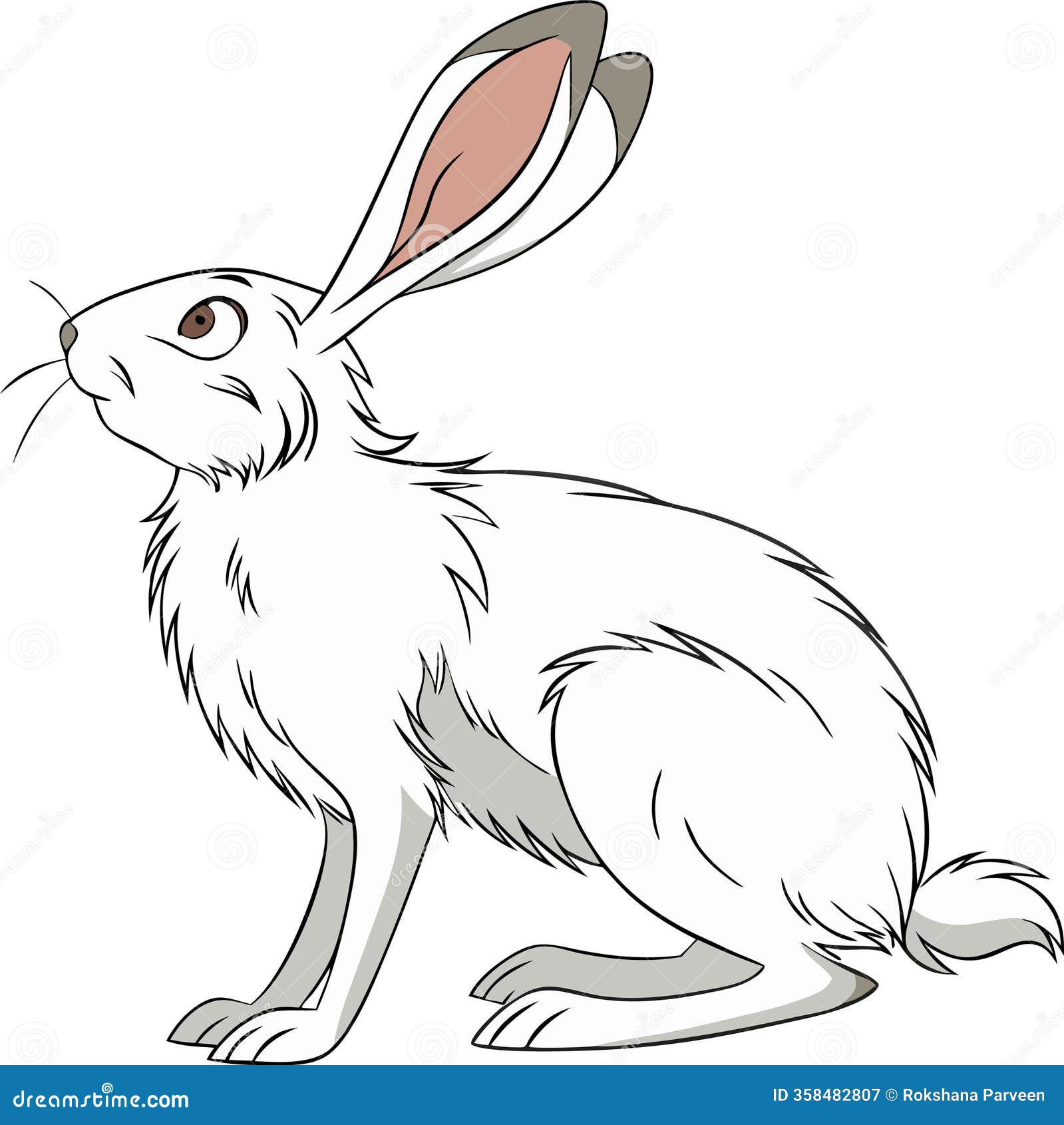Rabbit , Full Body Realistic Image, White Background Stock Illustration ...