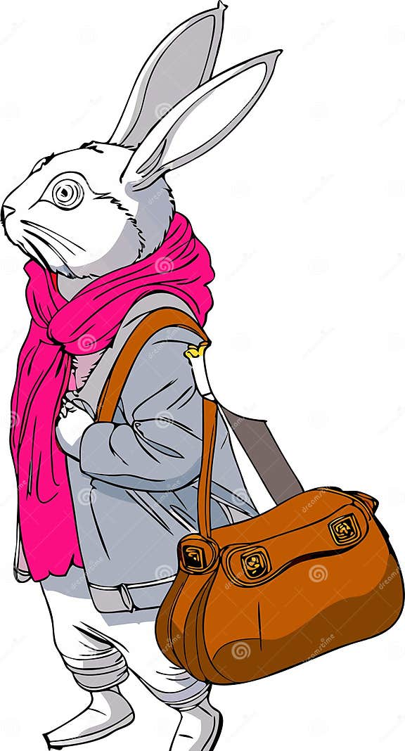 Rabbit , Full Body Realistic Image, White Background Stock Illustration ...