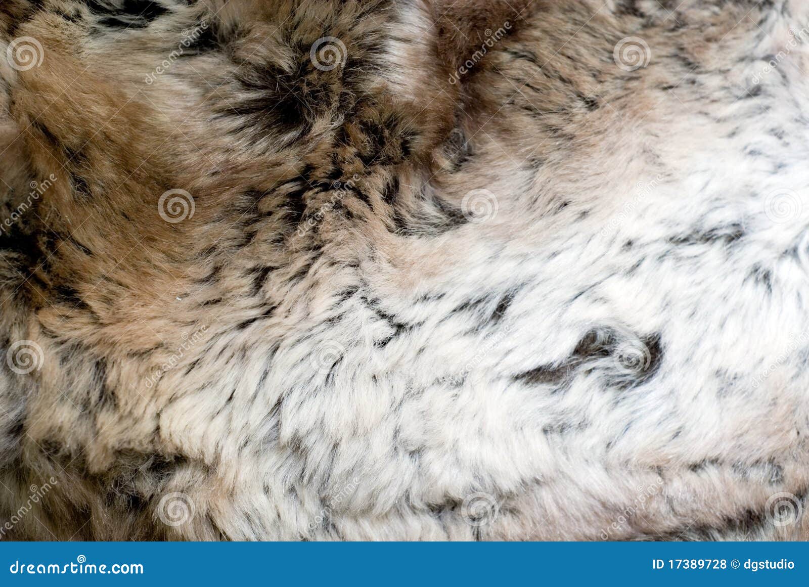 Basis stock photo. Image of pelage, cover, basis, spare - 17389728