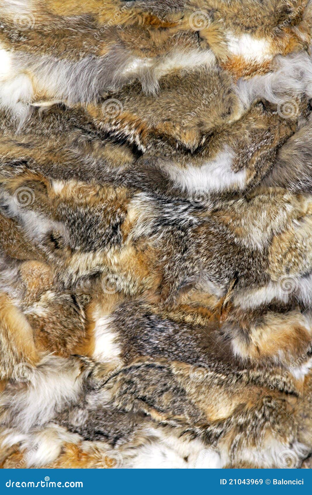 Rabbit fur stock image. Image of fashion, clothing, wild - 21043969