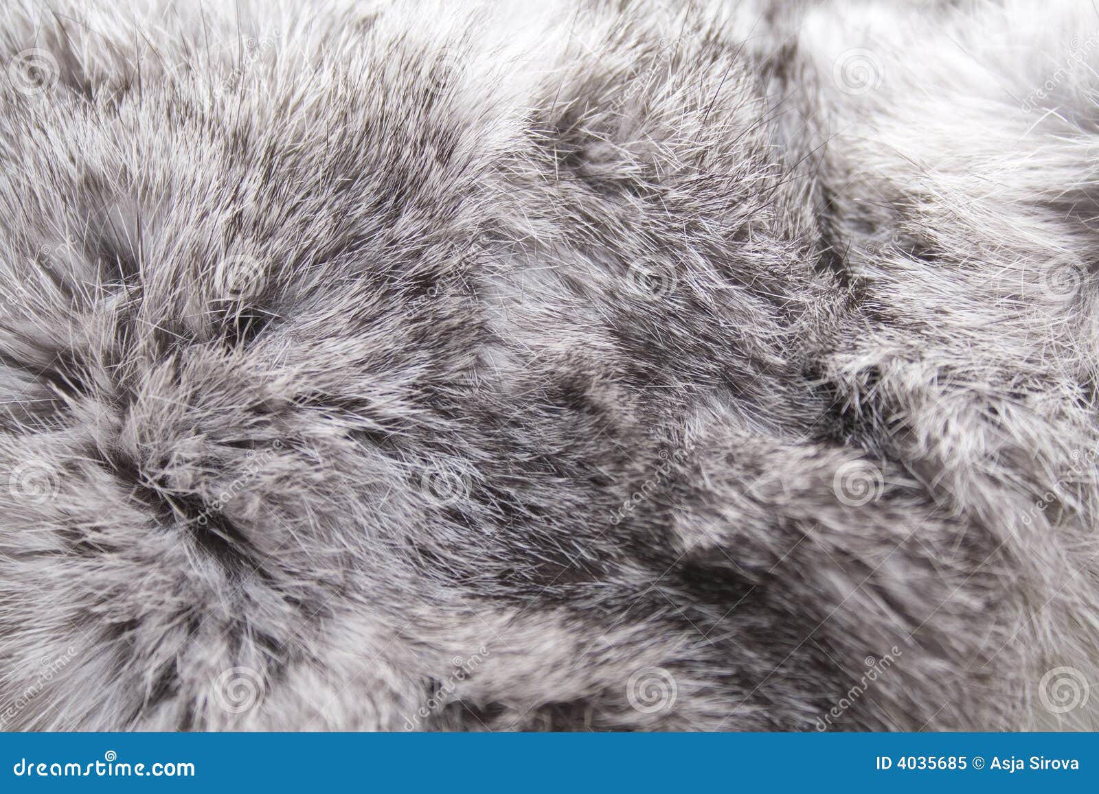 Rabbit fur stock image. Image of fluffy, hatching, close - 4035685