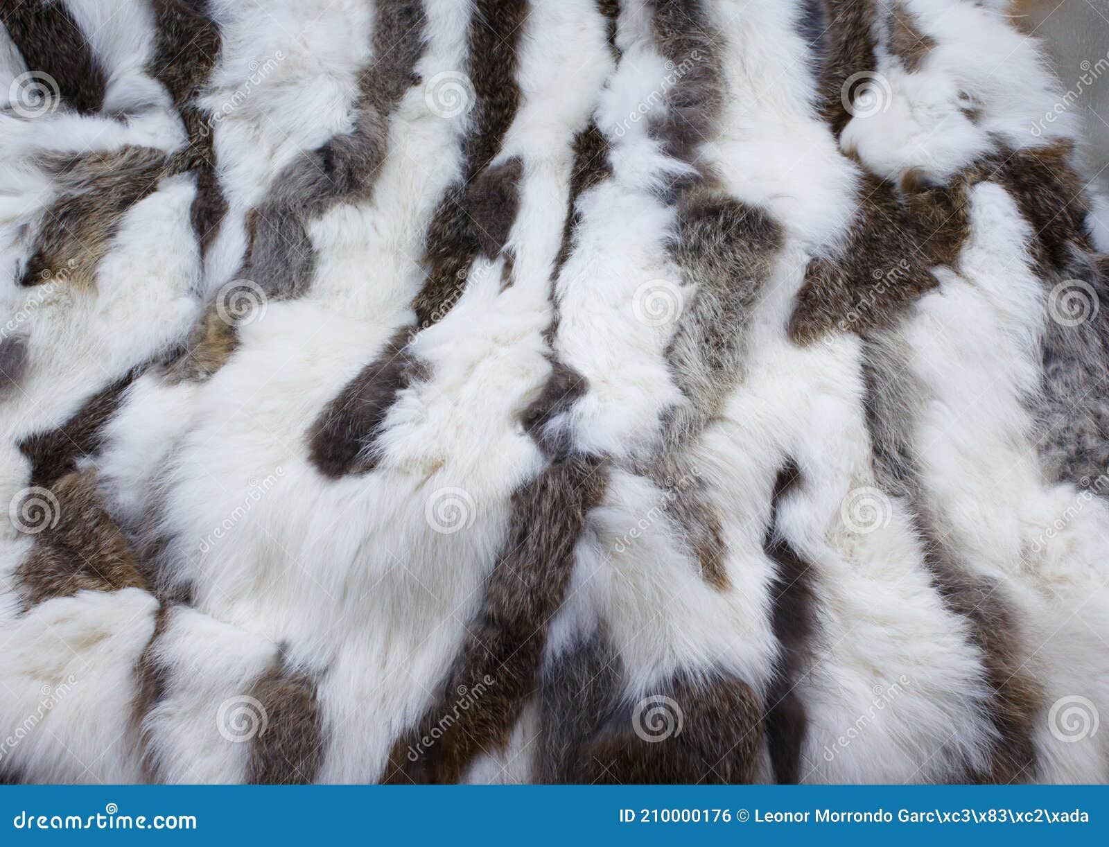 Rabbit Fur of Various Colors Sewn Together Stock Photo - Image of ...