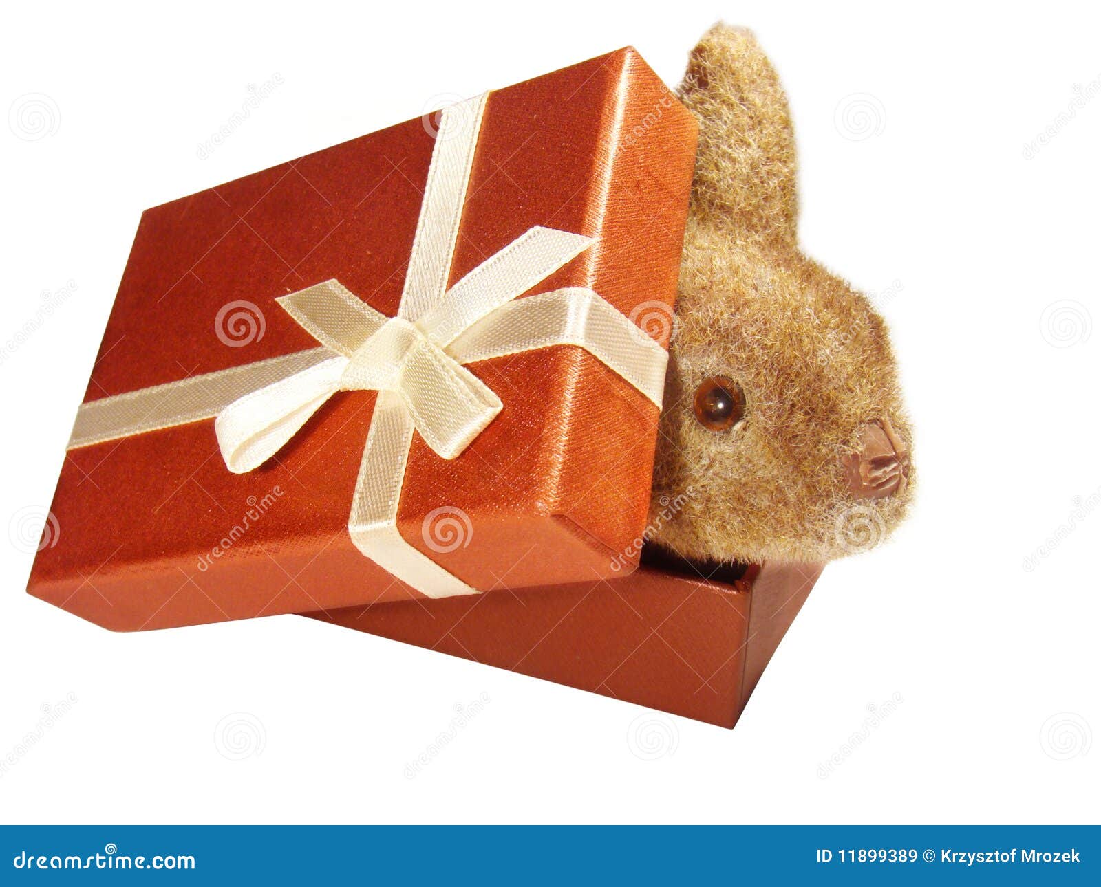 Rabbit in gift stock image. Image of gift, decorative - 11899389