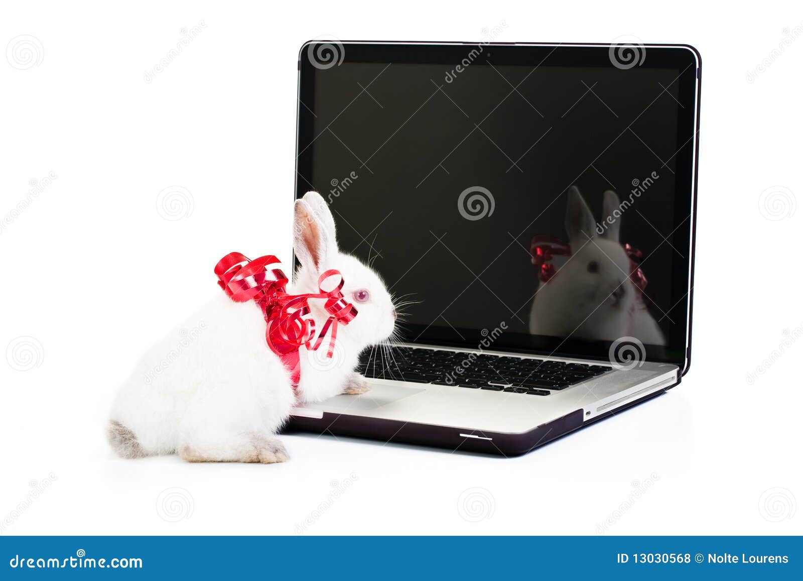 Rabbit Gift stock photo. Image of decoration, easter - 13030568