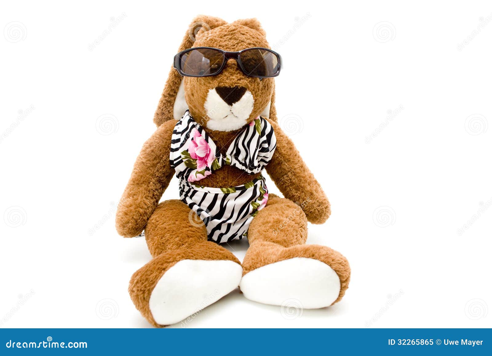 Rabbit with glasses stock image. Image of seated, bikini - 32265865