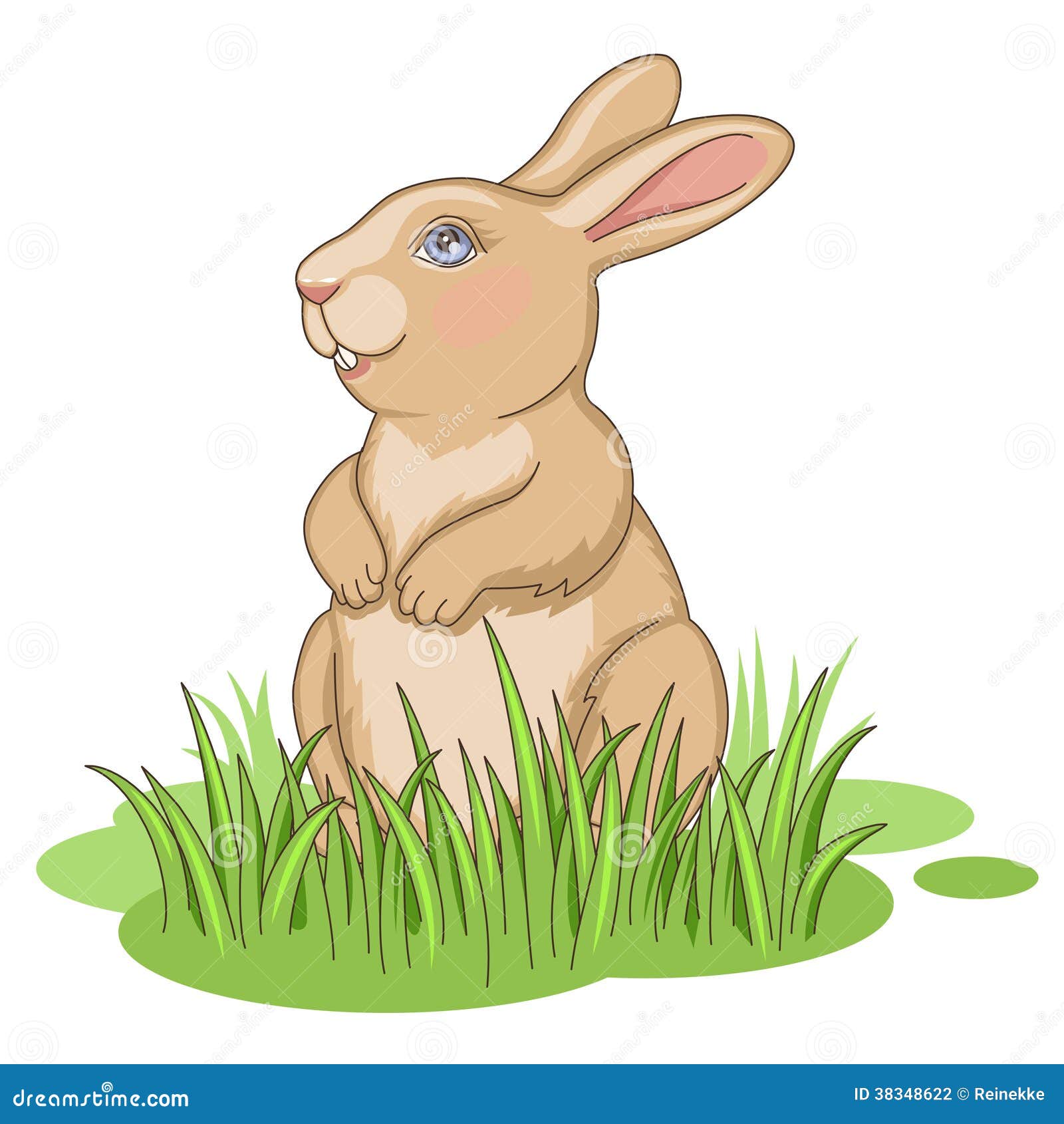 Rabbit in grass stock vector. Illustration of grass, green - 38348622