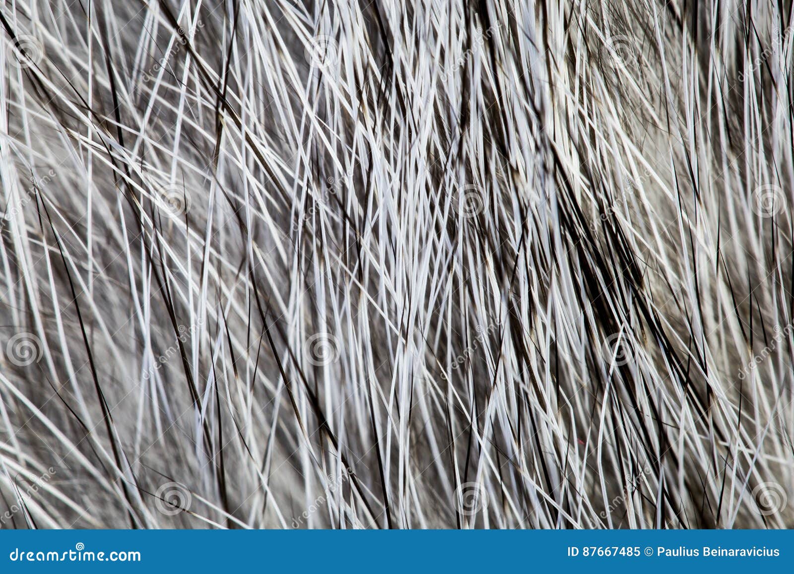 Rabbit hair texture stock image. Image of fluffy, rabbit - 87667485