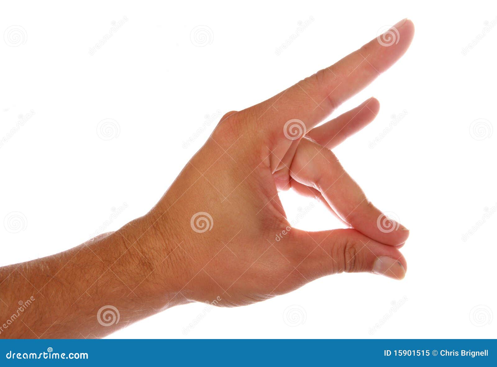 Rabbit hand animal stock image. Image of studio, sign - 15901515